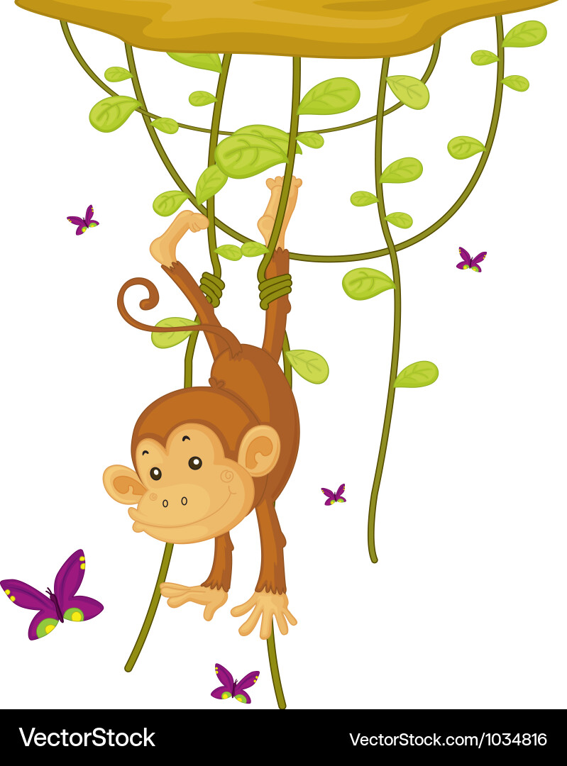 Monkey Royalty Free Vector Image - VectorStock