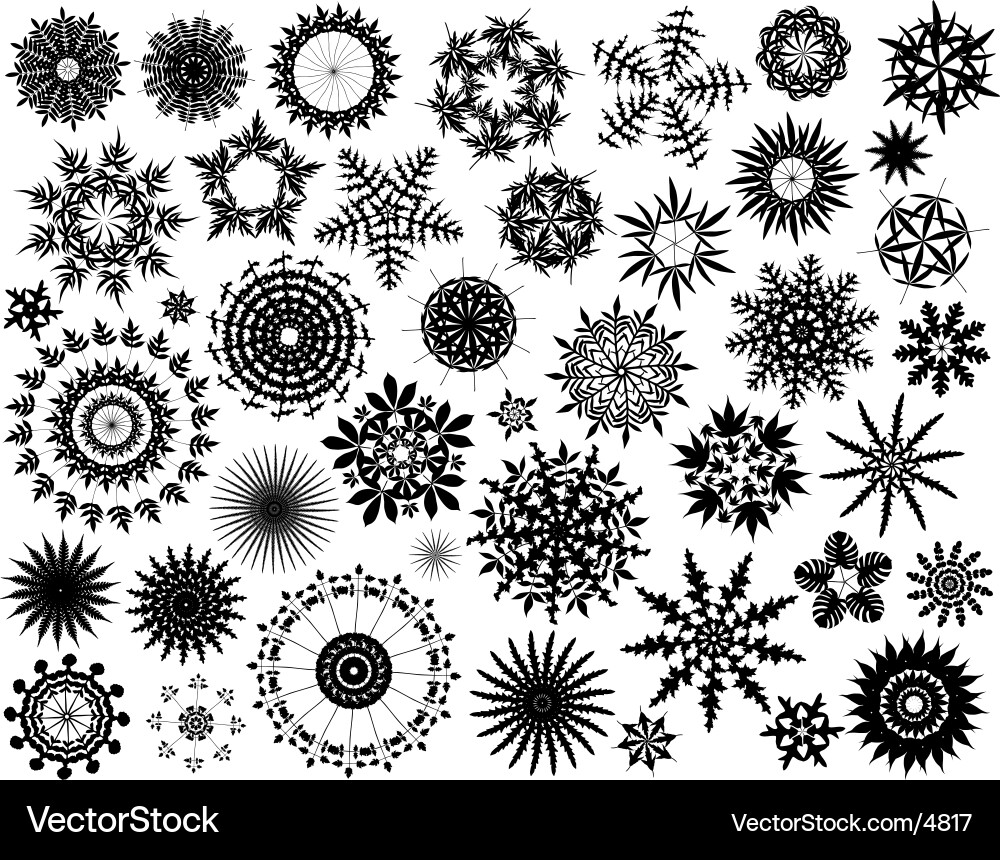 Floral Rosette Patterns Royalty Free Vector Image