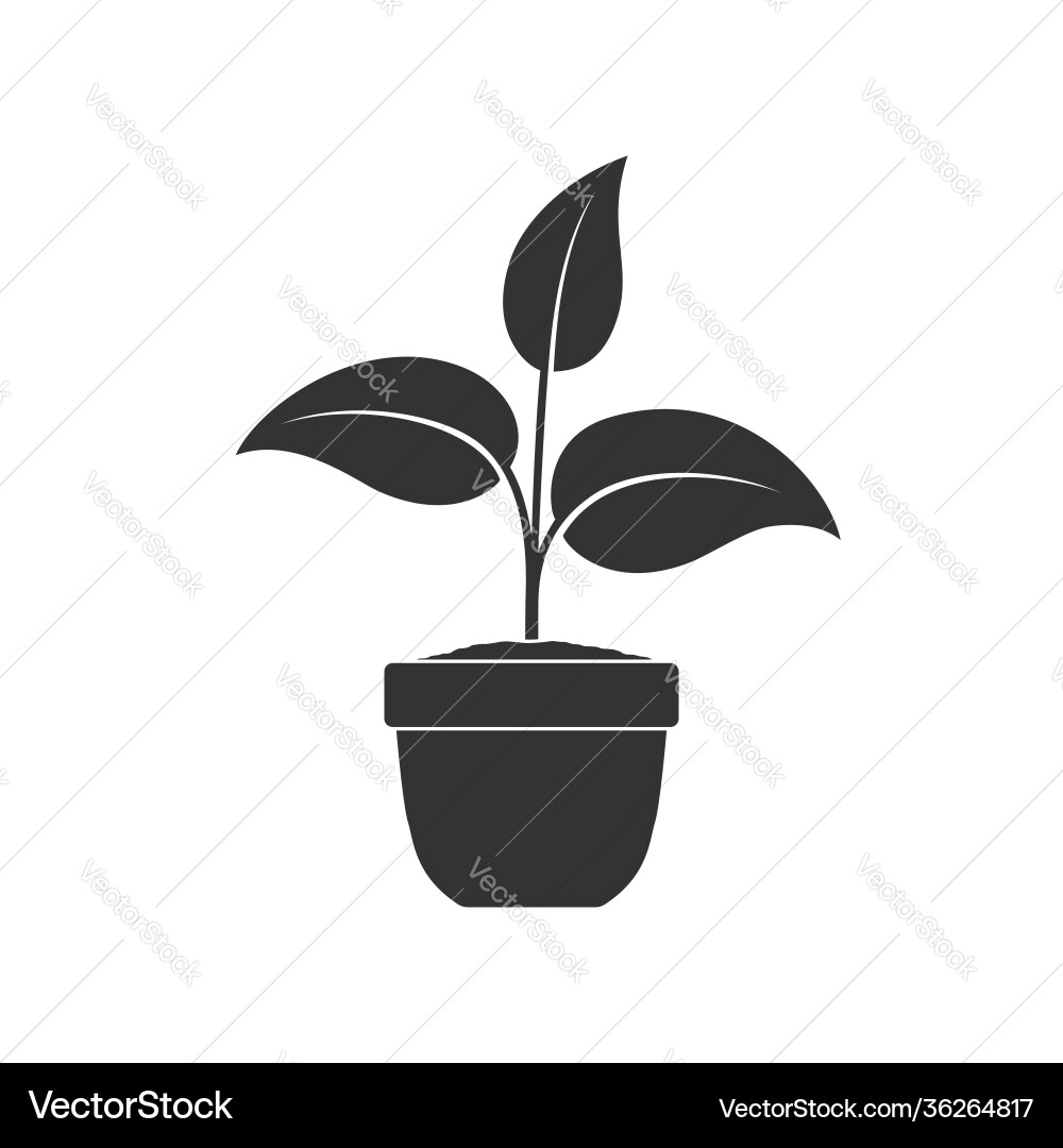 Potted plant Royalty Free Vector Image - VectorStock