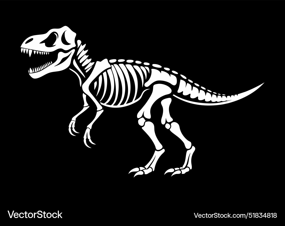 A t-rex dinosaur skeleton Royalty Free Vector Image