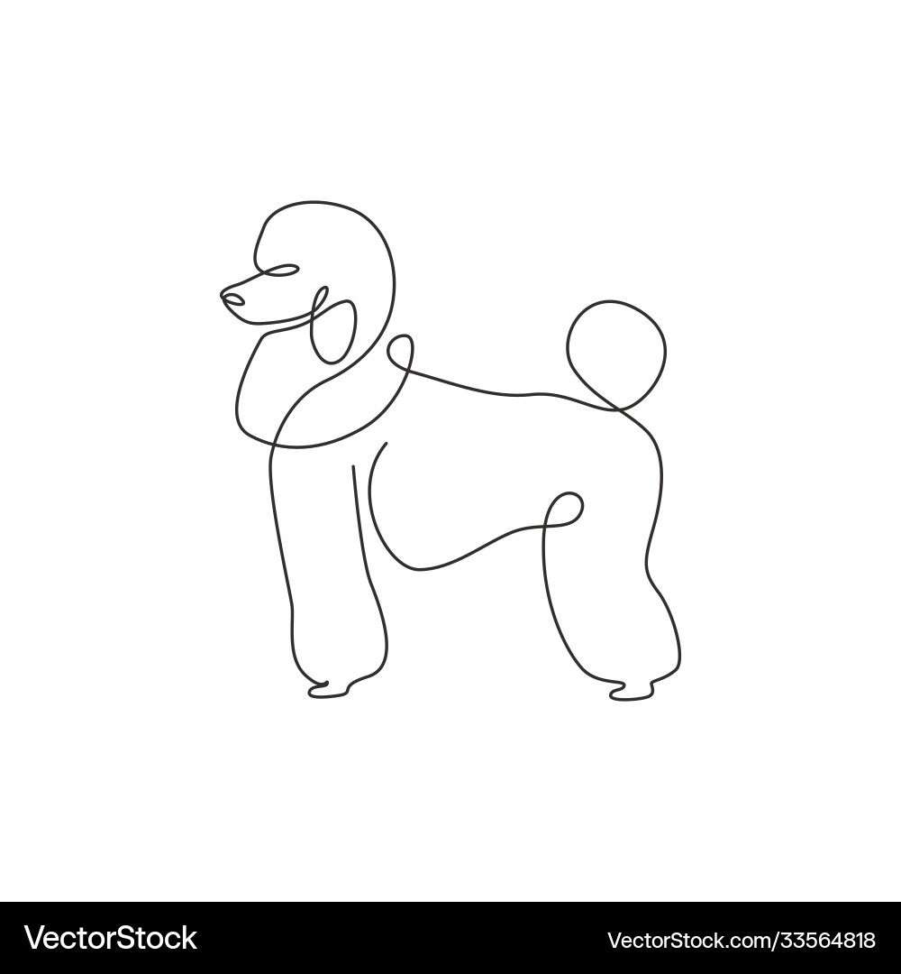 Single continuous line drawing adorable poodle Vector Image