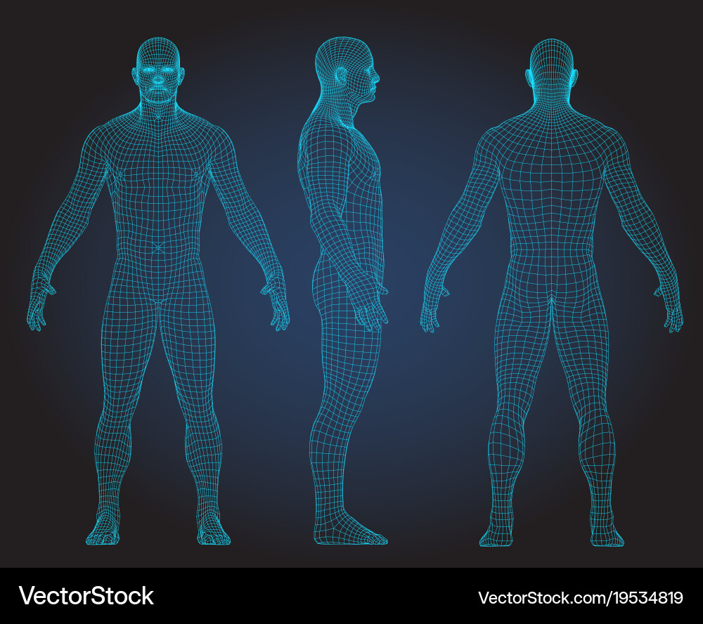 Wire Frame Human Body Man Vector Images (over 480)