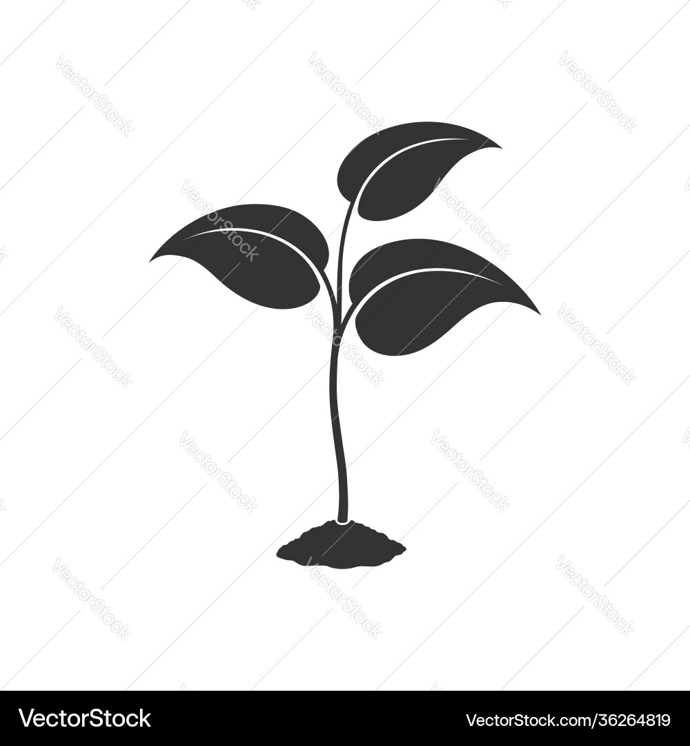 Sprout Royalty Free Vector Image - VectorStock