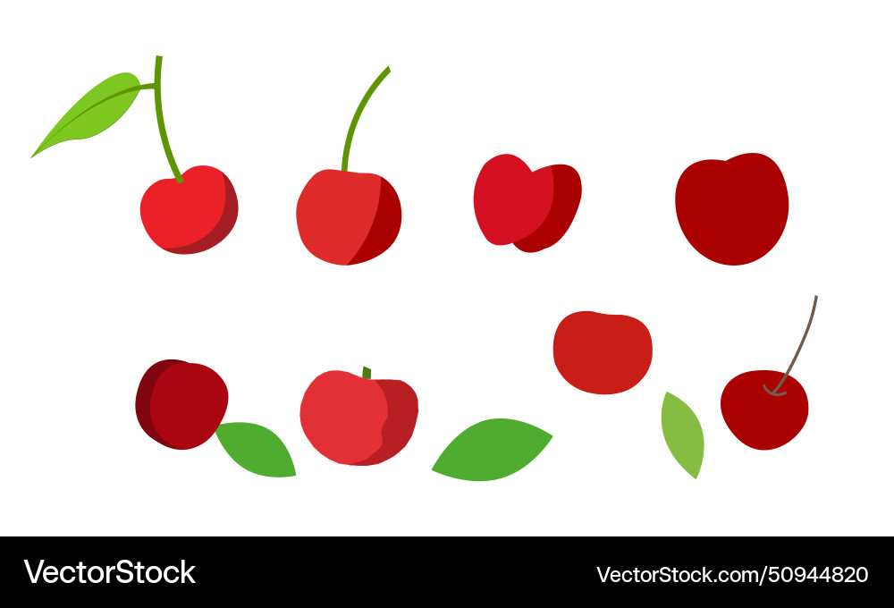 Cherry design and bundle Royalty Free Vector Image