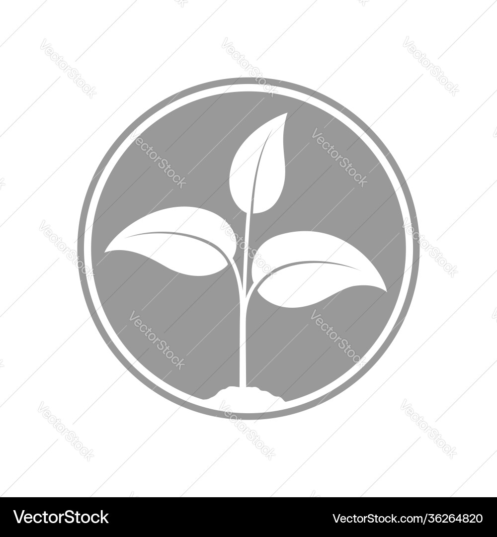 Sprout icon Royalty Free Vector Image - VectorStock
