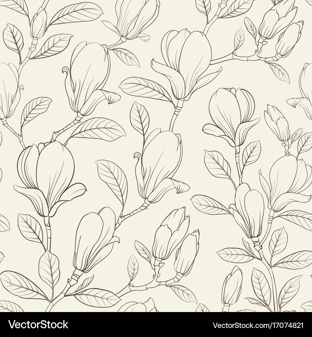 Magnolia blooming flower Royalty Free Vector Image