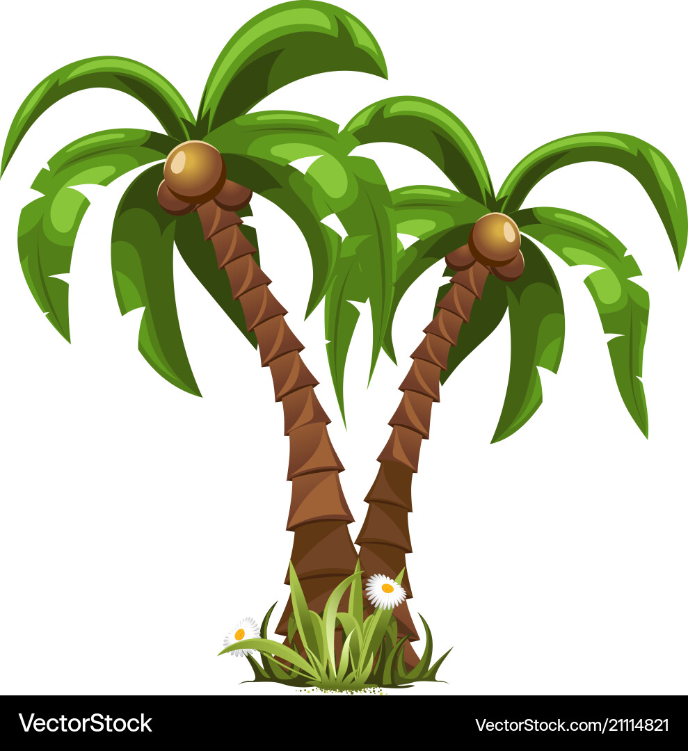 Two beautiful palm trees Royalty Free Vector Image