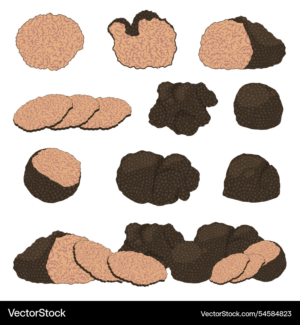 Cartoon different black truffle icon set Vector Image