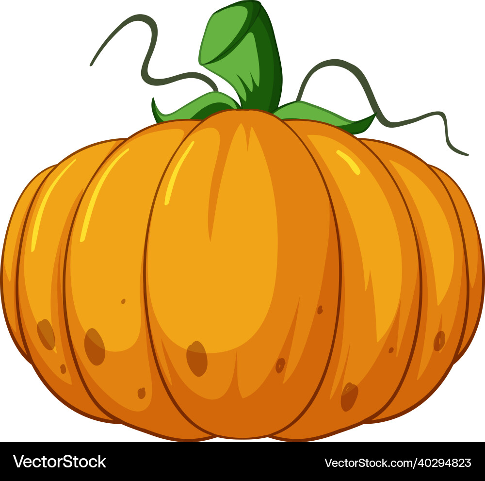 Orange pumpkin in cartoon style on white Vector Image