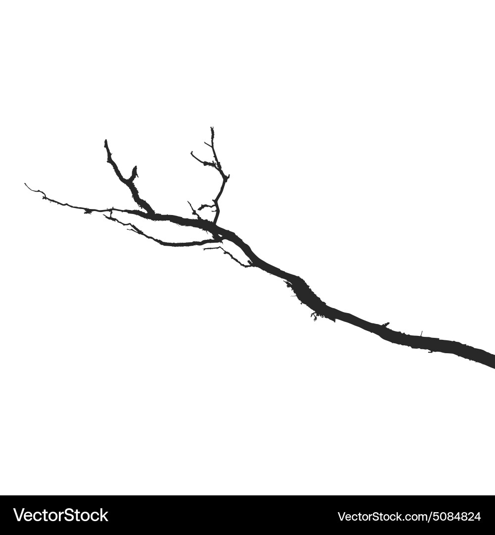 Dead branches Royalty Free Vector Image - VectorStock