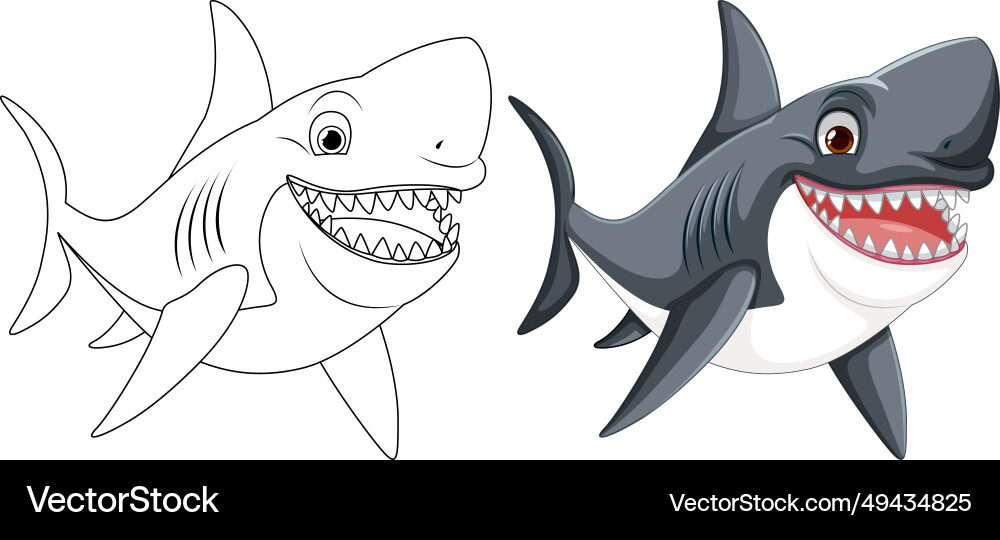 Great white shark smiling Royalty Free Vector Image