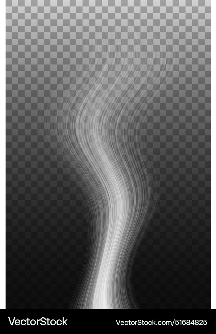Smoke wave on transparent background Royalty Free Vector