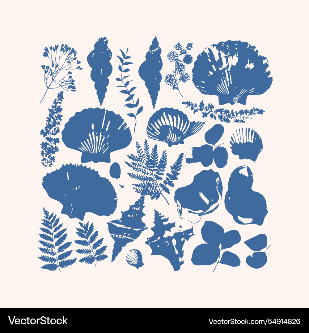 Botanical Seashell Art Royalty Free Vector Image
