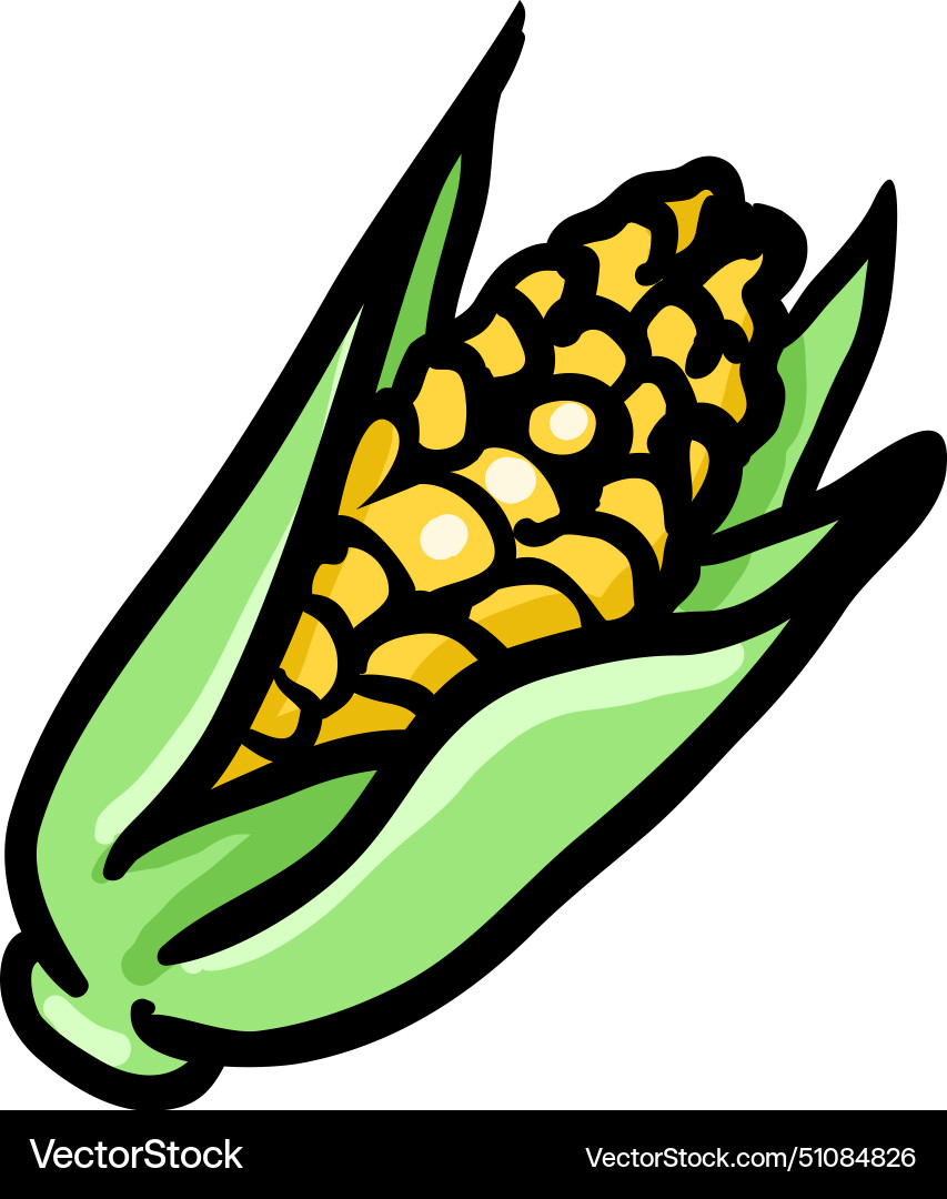 Corn - hand drawn doodle icon Royalty Free Vector Image