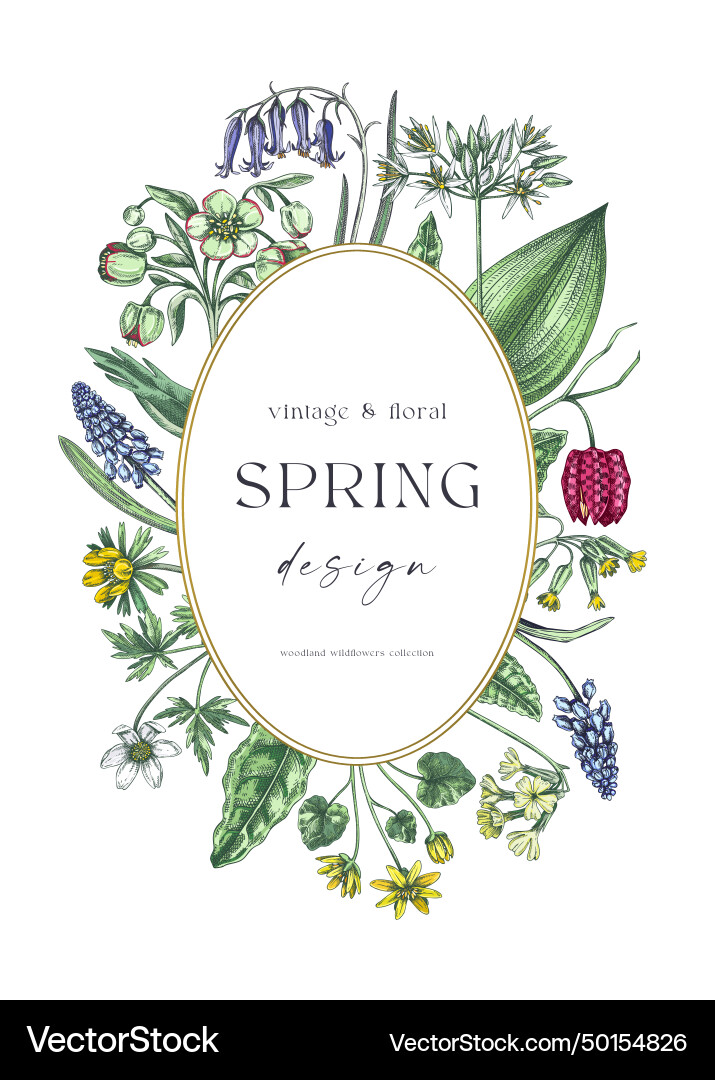 Delicate spring wreath woodland wild flower Vector Image