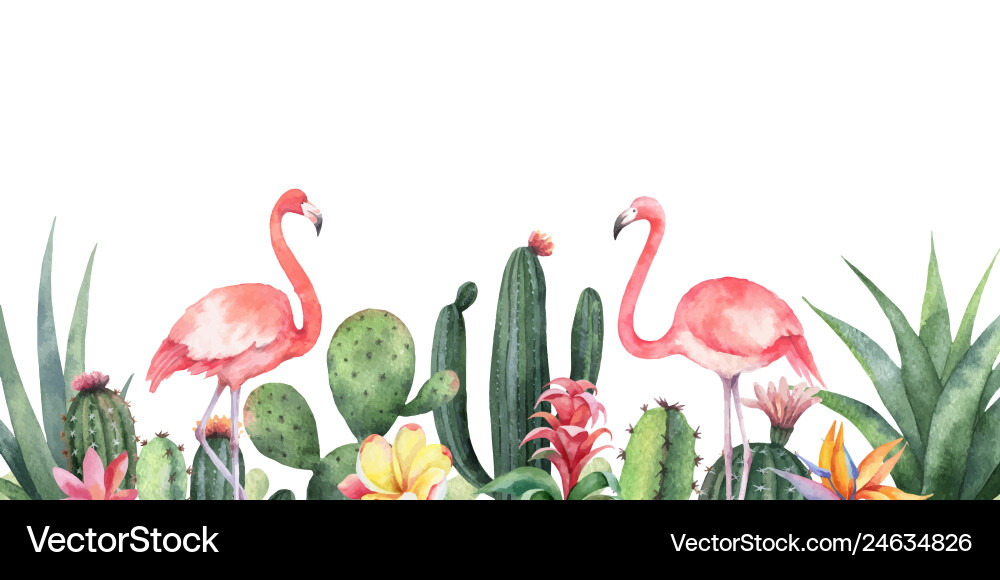 Tropical Flamingo Cacti Banner Royalty Free Vector Image