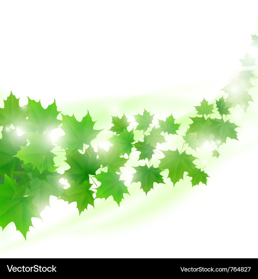 Flying maple leaves Royalty Free Vector Image - VectorStock
