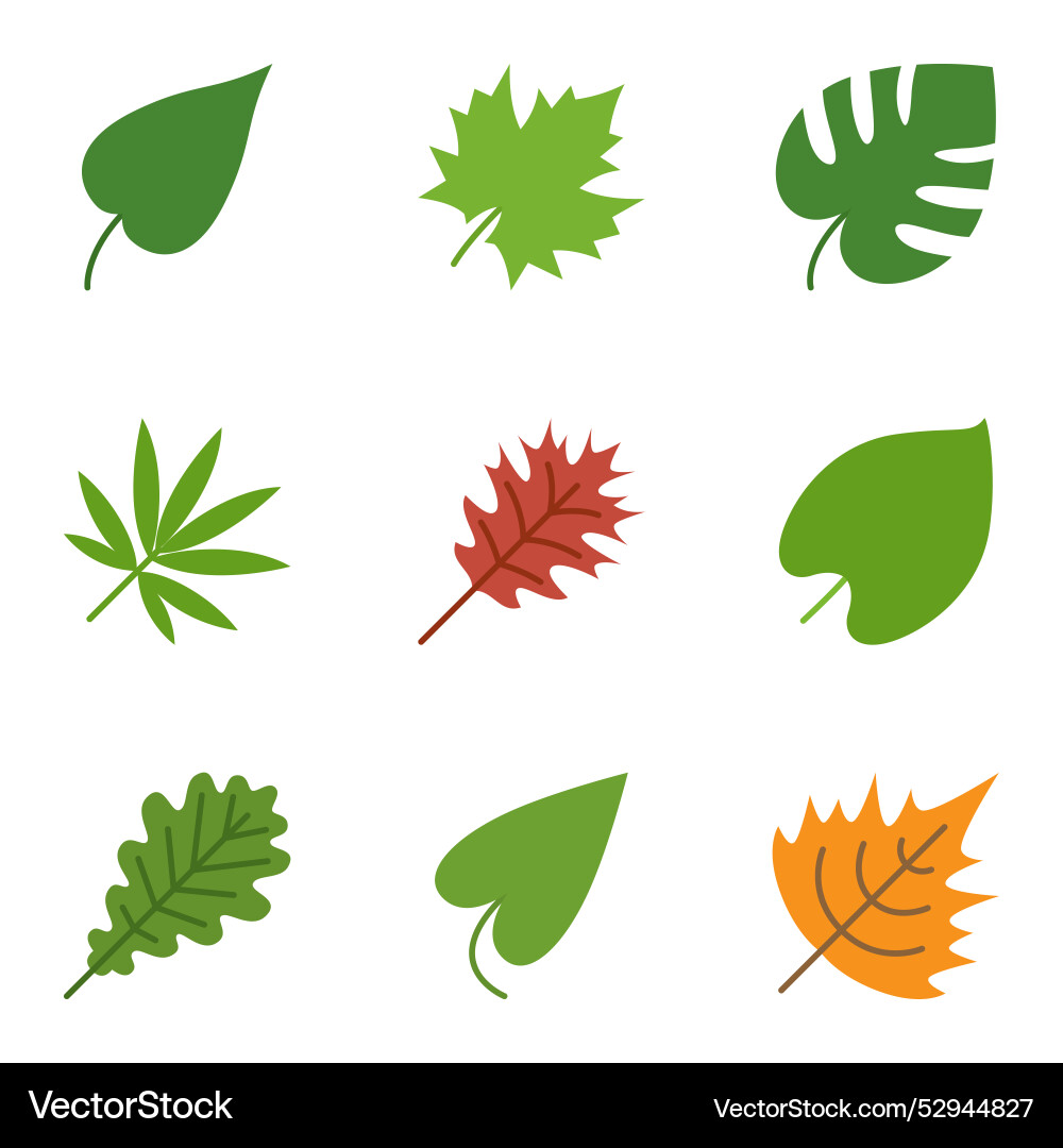 Leaves icon set Royalty Free Vector Image - VectorStock