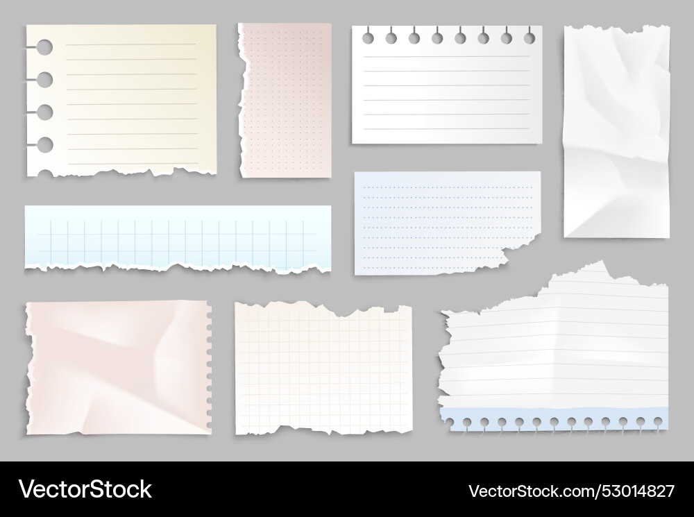 Ripped paper strips set elements in flat graphic Vector Image