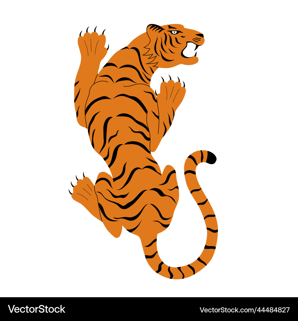 Tiger walk isolated Royalty Free Vector Image - VectorStock
