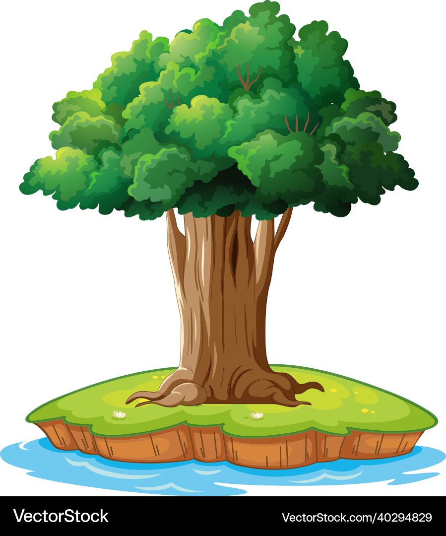 Isolated tree on white background Royalty Free Vector Image