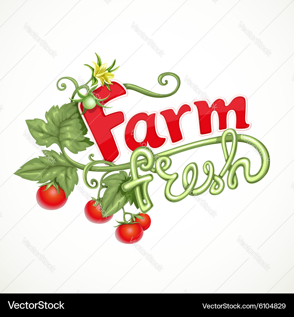 Tomato Sprout Lettering - Fresh Farm Style Vector Image