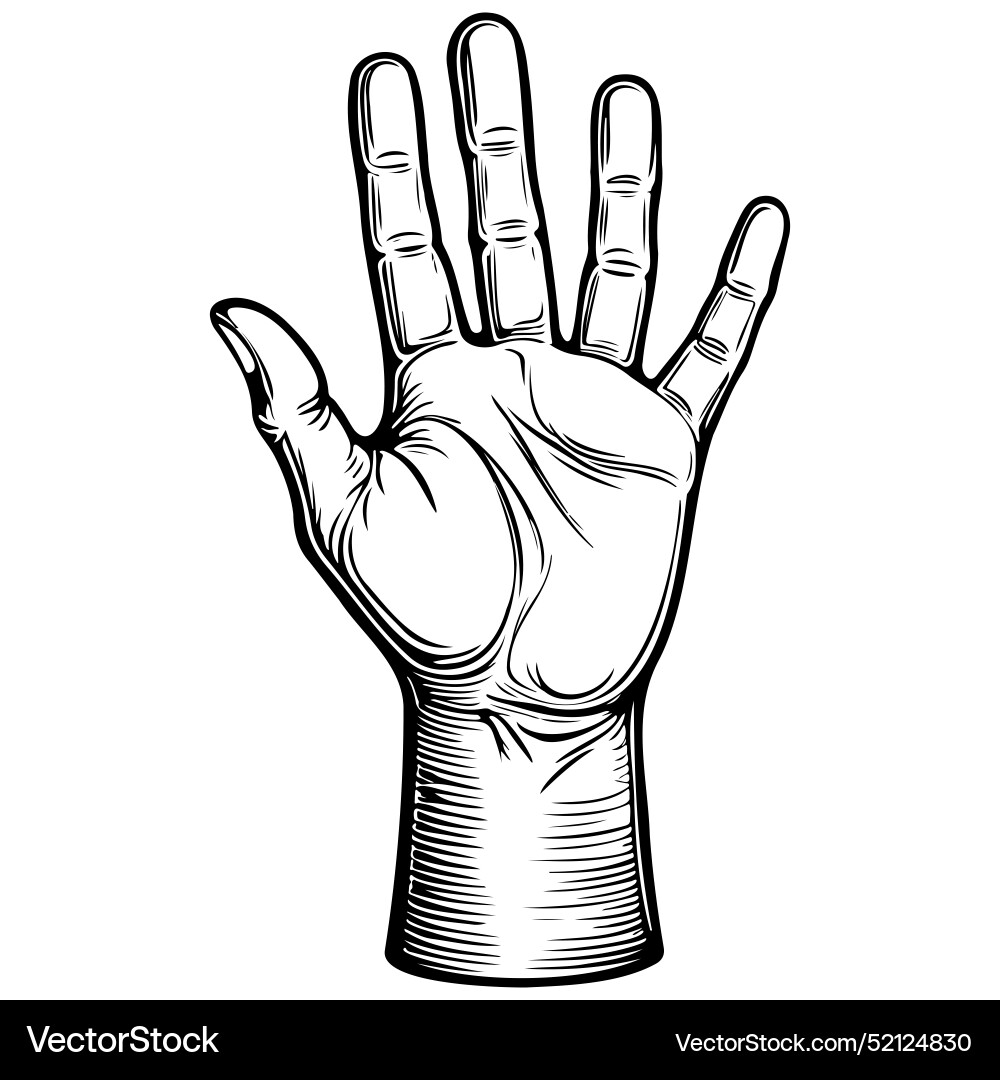Cartoon hands drawing outline line Royalty Free Vector Image