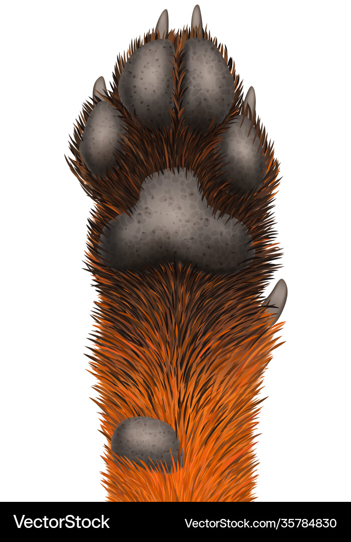 Fox paw icon Royalty Free Vector Image - VectorStock