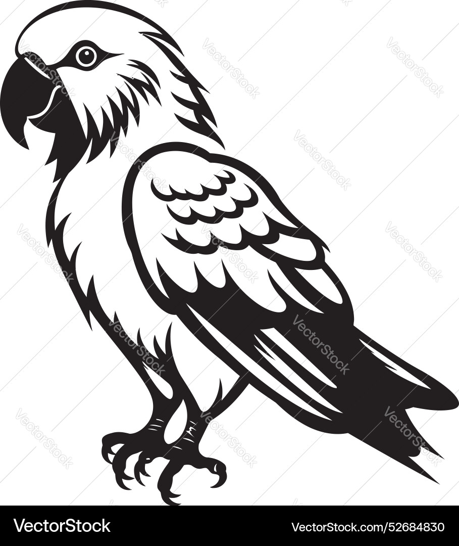 Mystical masquerade elegant mask symbol design Vector Image