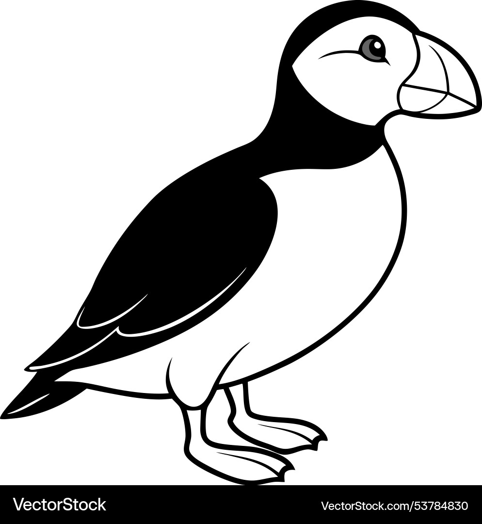 Puffin bird art Royalty Free Vector Image - VectorStock