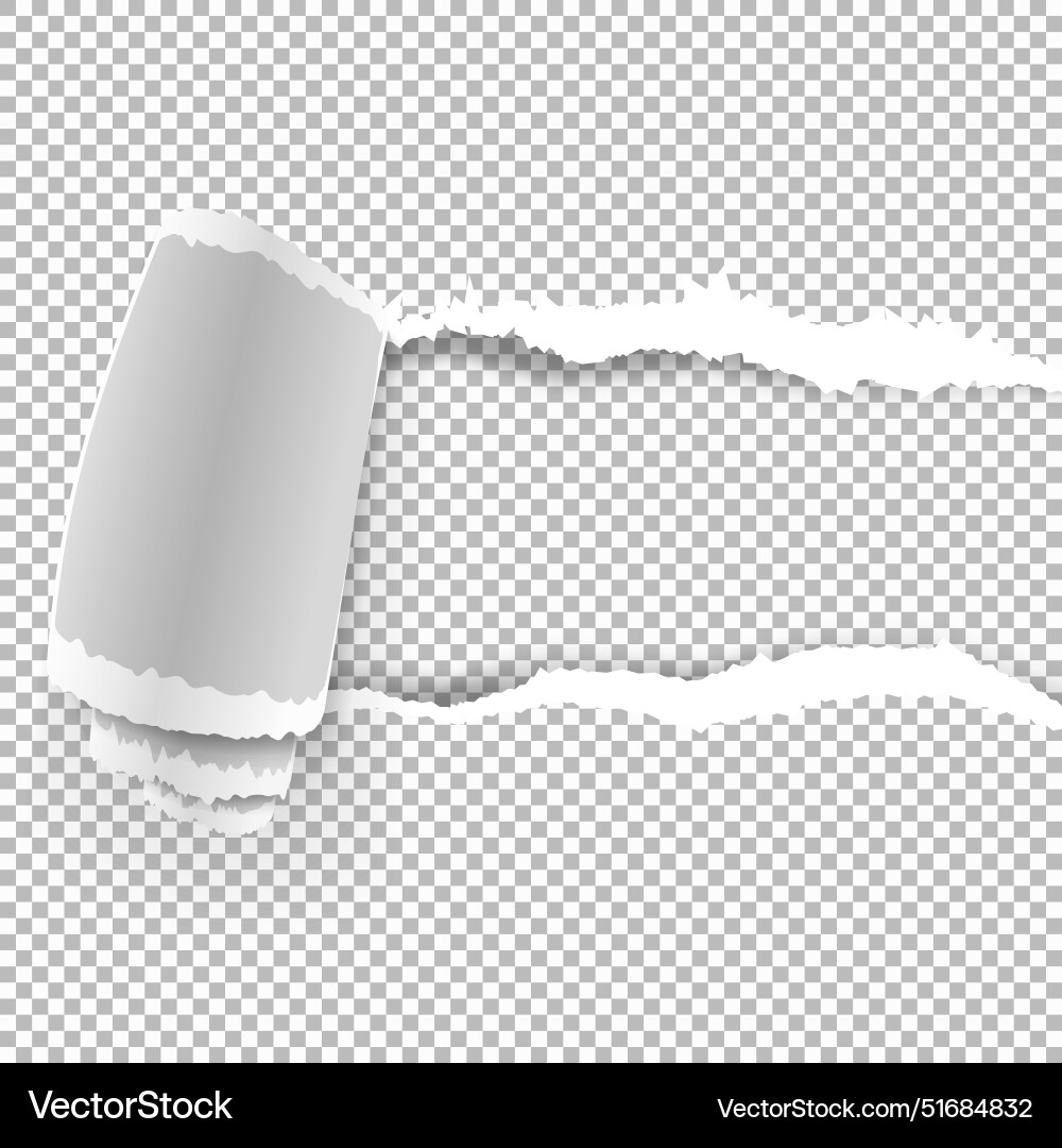 Ripped paper with edges Royalty Free Vector Image