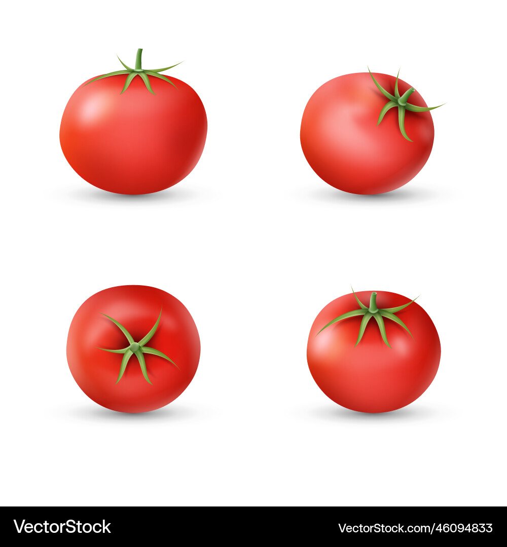 3d red tomato realistic whole vegetables healthy Vector Image