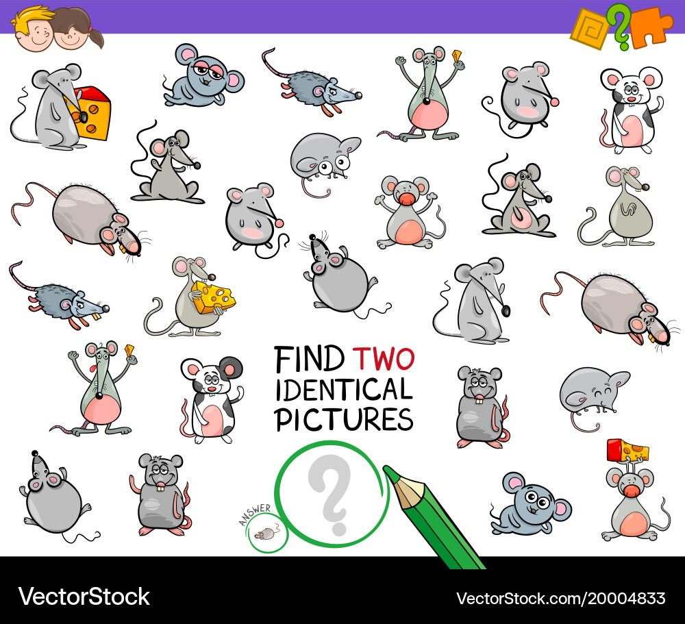 Find two identical mice educational activity Vector Image