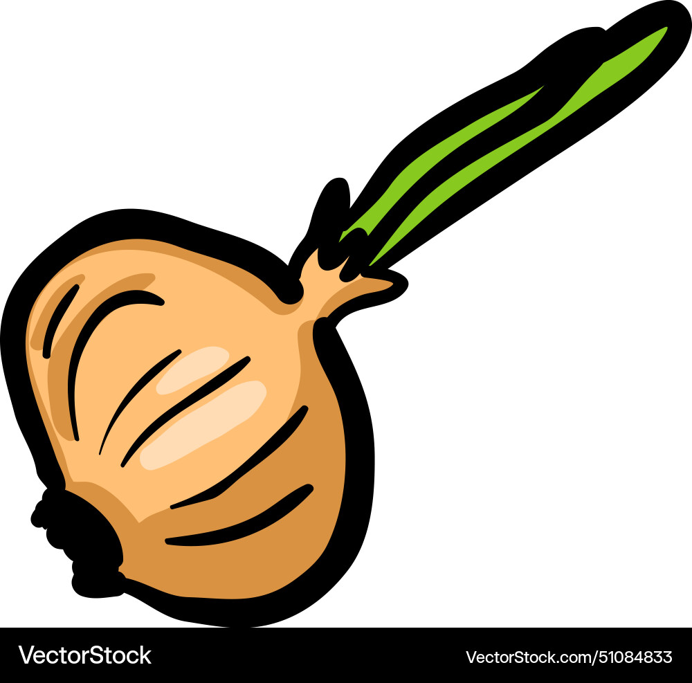 Onion - hand drawn doodle icon Royalty Free Vector Image