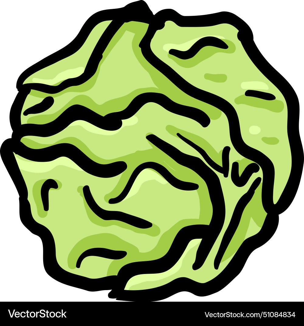 Cabbage - hand drawn doodle icon Royalty Free Vector Image