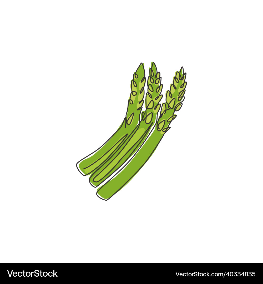 One continuous line drawing of whole healthy Vector Image