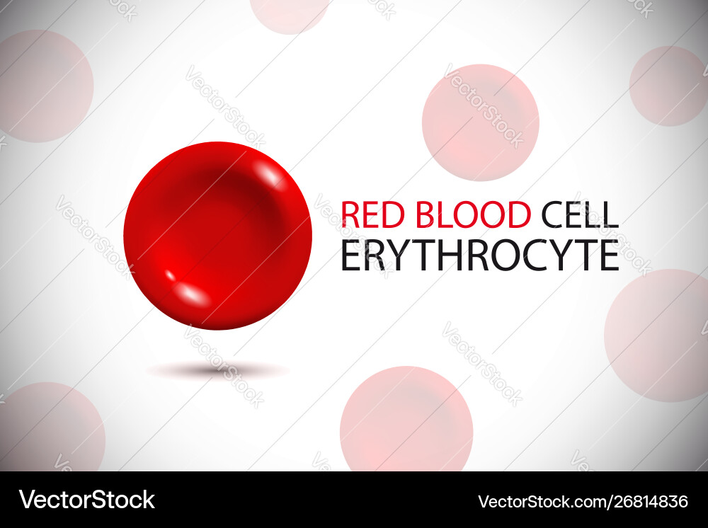 Erythrocyte red blood cell logo Royalty Free Vector Image