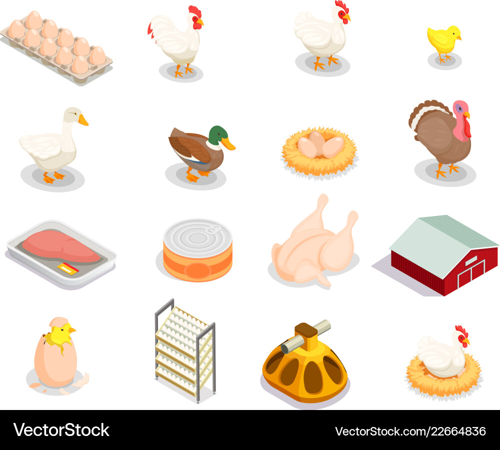 Poultry production isometric set Royalty Free Vector Image