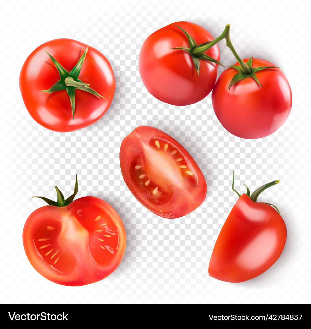 Fresh Tomato Variety Set Royalty Free Vector Image