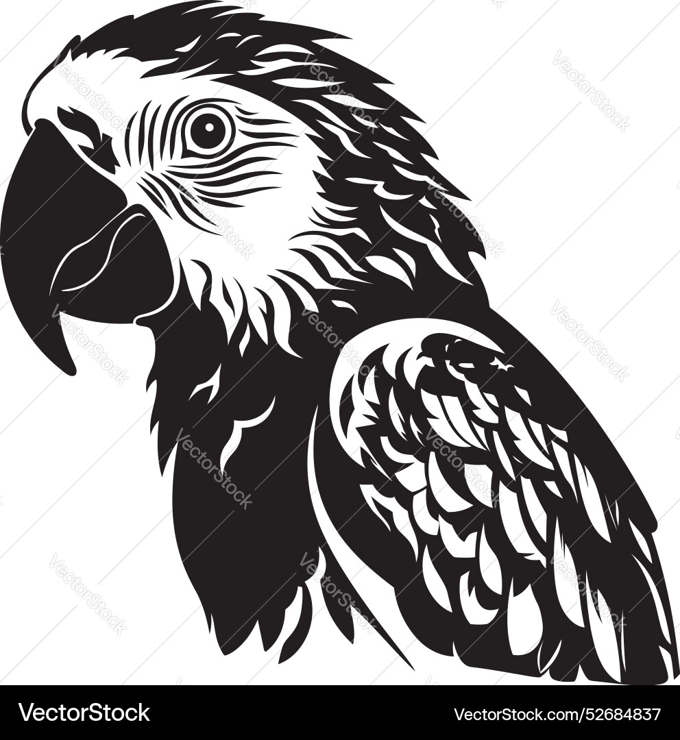 Twilight intrigue enigmatic masquerade graphic Vector Image