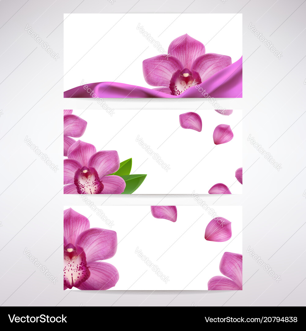 Orchid Flower Banners Royalty Free Vector Image