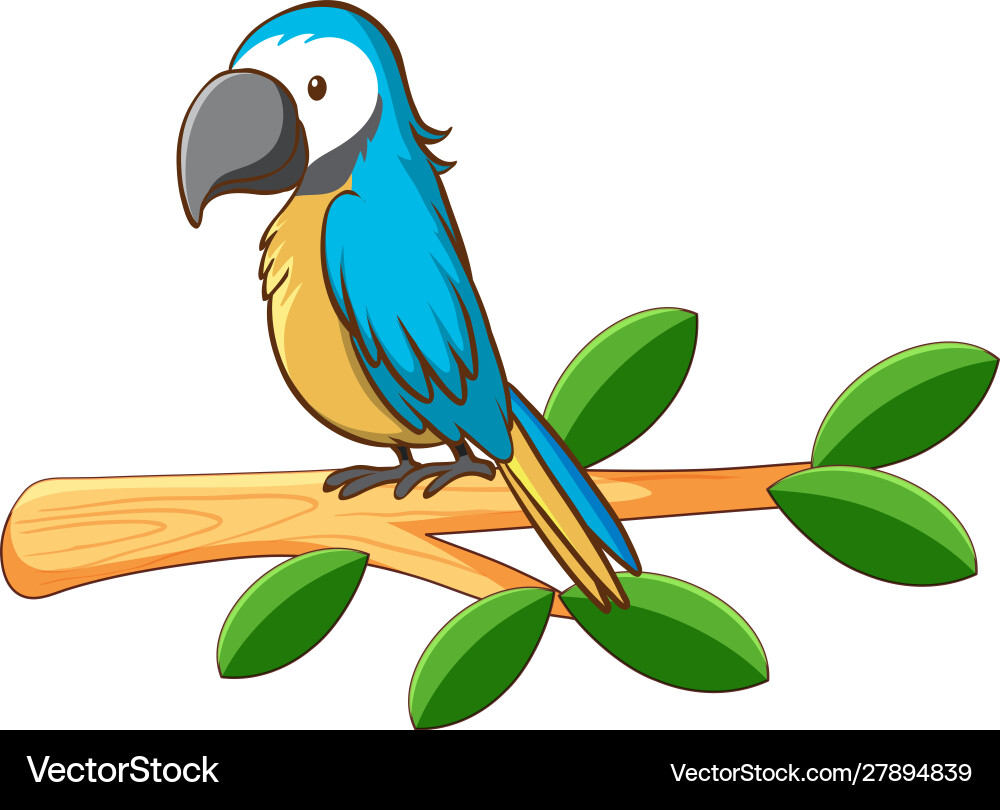 Blue parrot on branch Royalty Free Vector Image