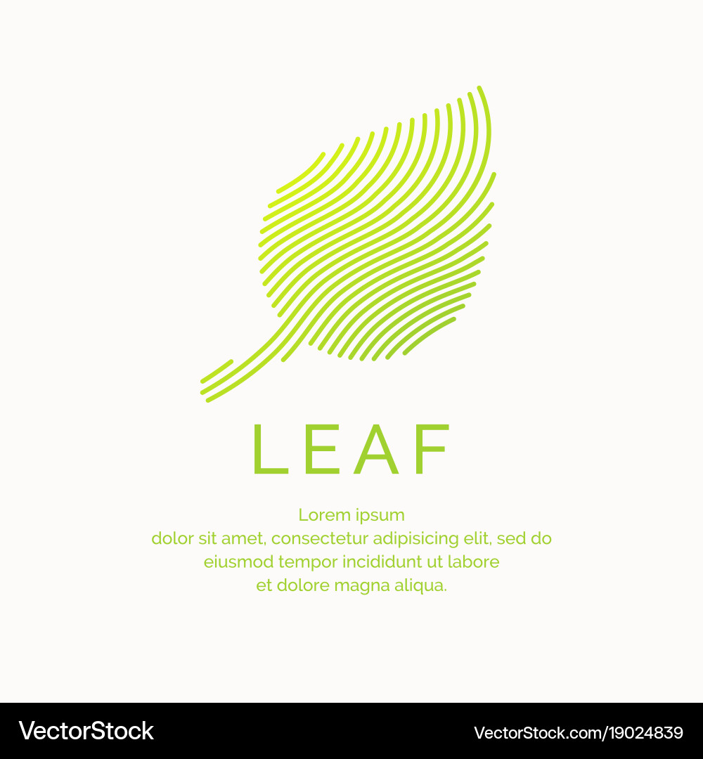 Leaf in a linear style Royalty Free Vector Image
