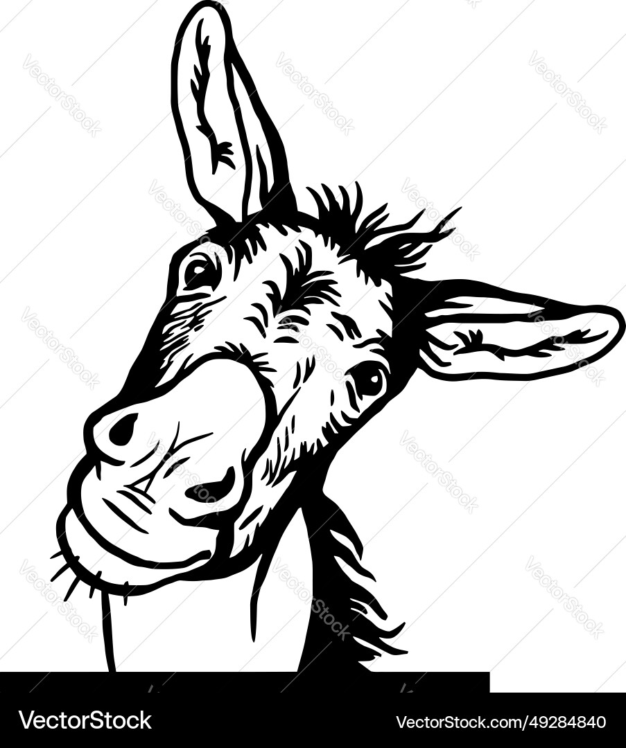 Funny Peeking Donkey Head Royalty Free Vector Image
