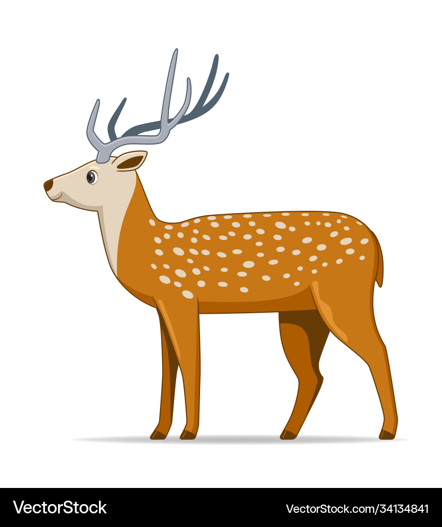 Axis deer animal standing on a white background Vector Image