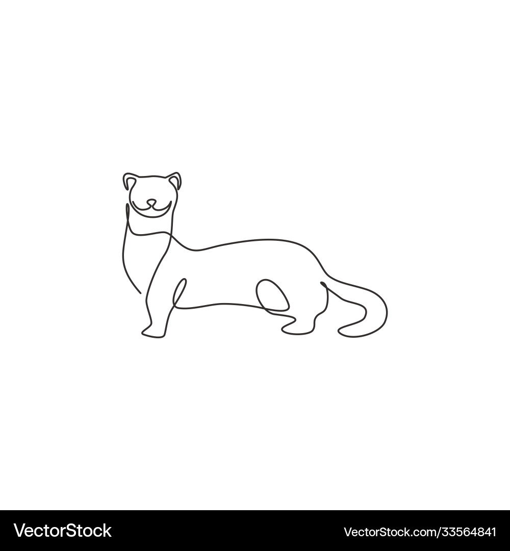 Weasel Illustration Mustela Nivalis (Weasel, Least Weasel) Our