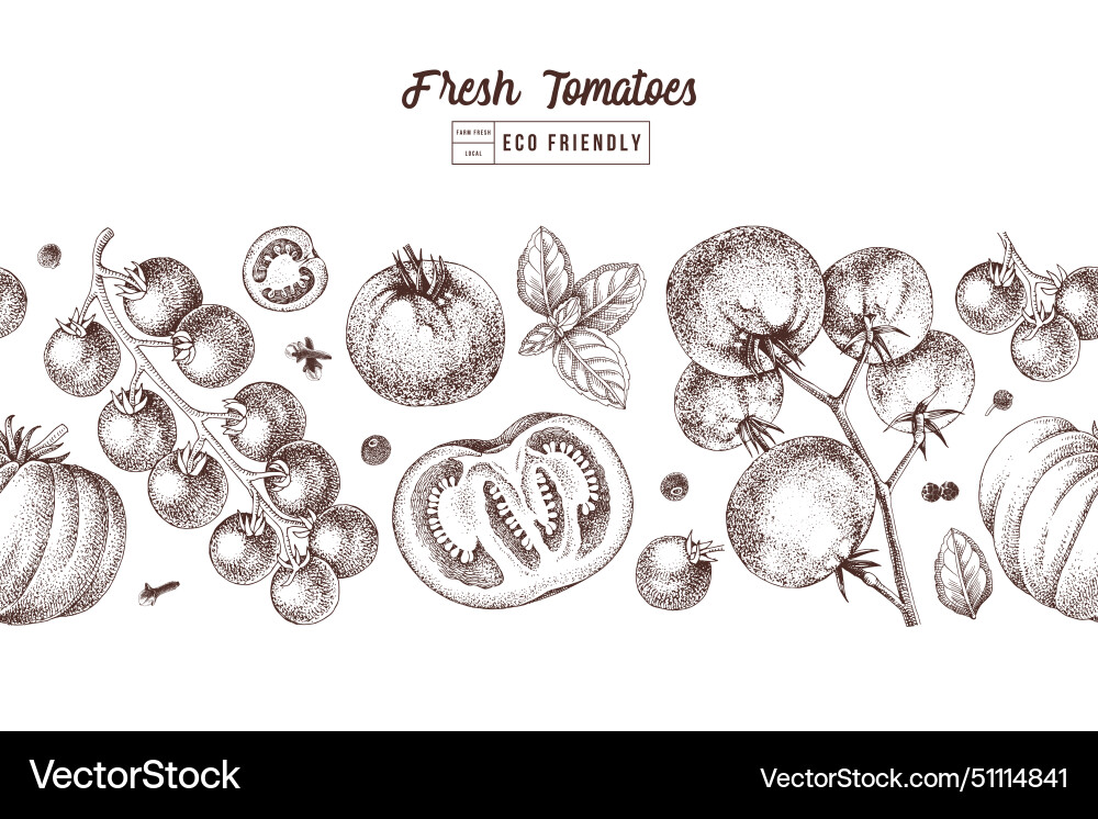 Tomatoes monochrome seamless border Royalty Free Vector