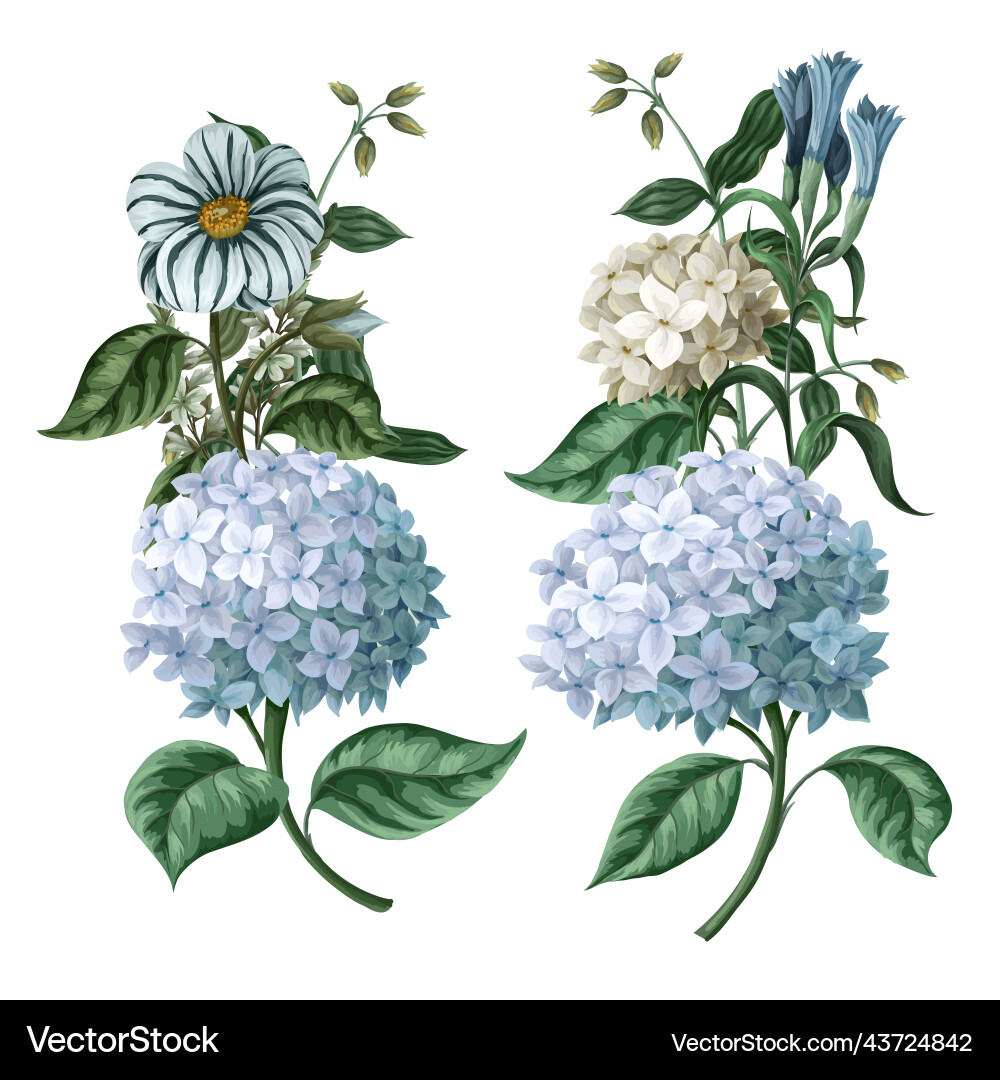 Bouquets with blue hydrangeas and other flowers Vector Image