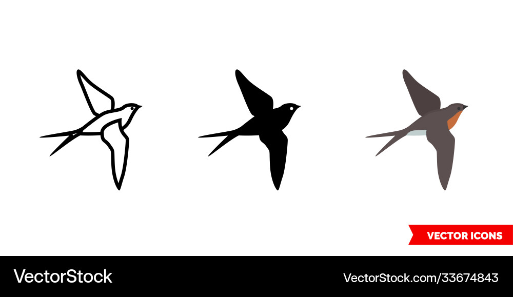 barn swallow vector