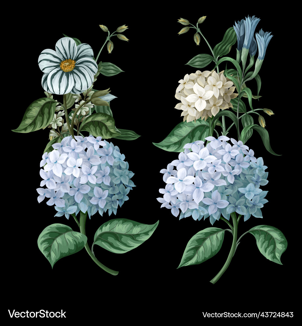 Elegant Blue Hydrangea Bouquet Royalty Free Vector Image